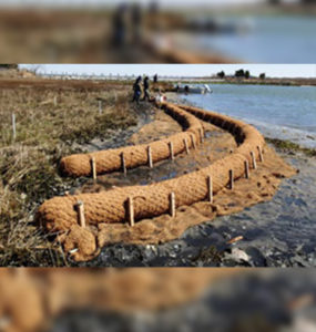 EASYGROW GROW COIR WATTLE - GROW GREEN ECO SOLUTIONS